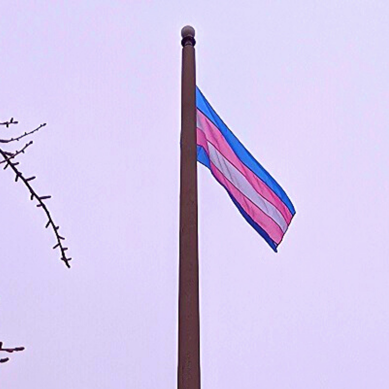 Brantford Transgender Flag Raising - Positive Health Network